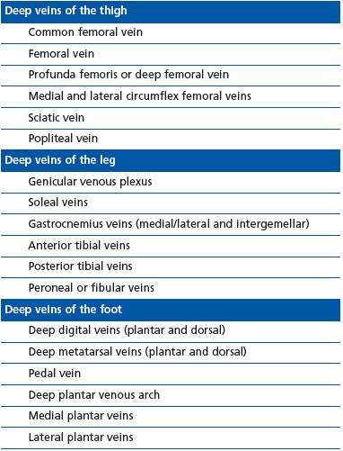 The Importance of Uniform Venous Terminology in Reports on Varicose ...