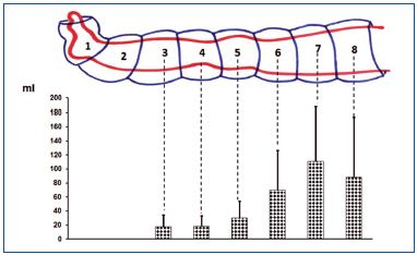 Where do lymph and tissue fluid flow during intermittent pneumatic ...