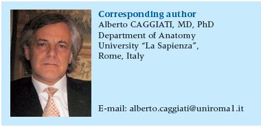 The venous valves of the lower limbs - Servier ...