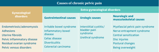 Chronic pelvic pain anpelvic venous disorders: the gynecologist’s point ...